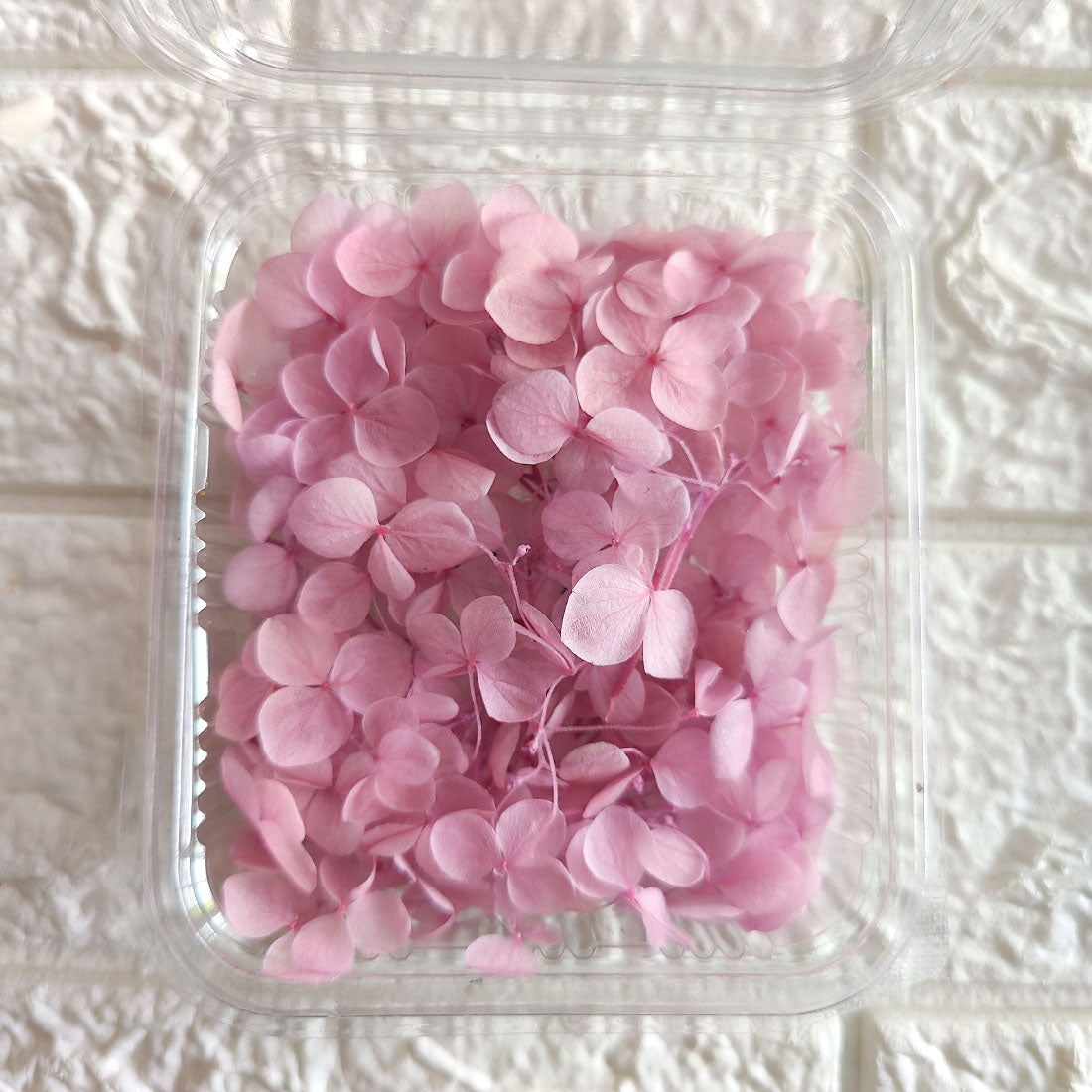 Hydrangea Flower Box