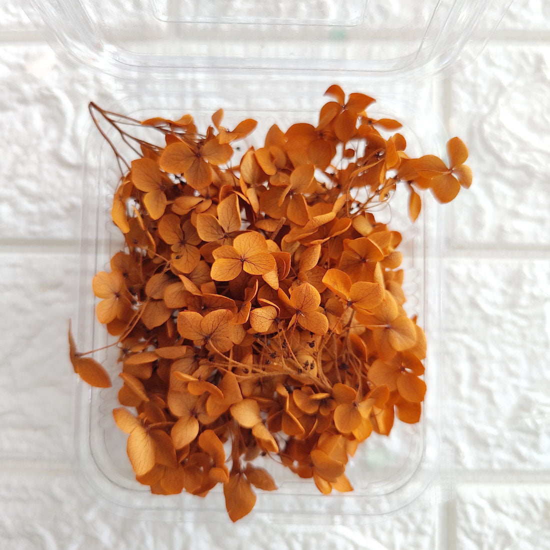 Hydrangea Flower Box